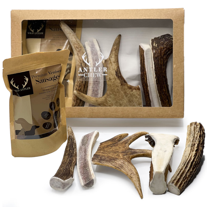 Antler Dog Chews - Shop Antler Chews for Dogs UK Wide