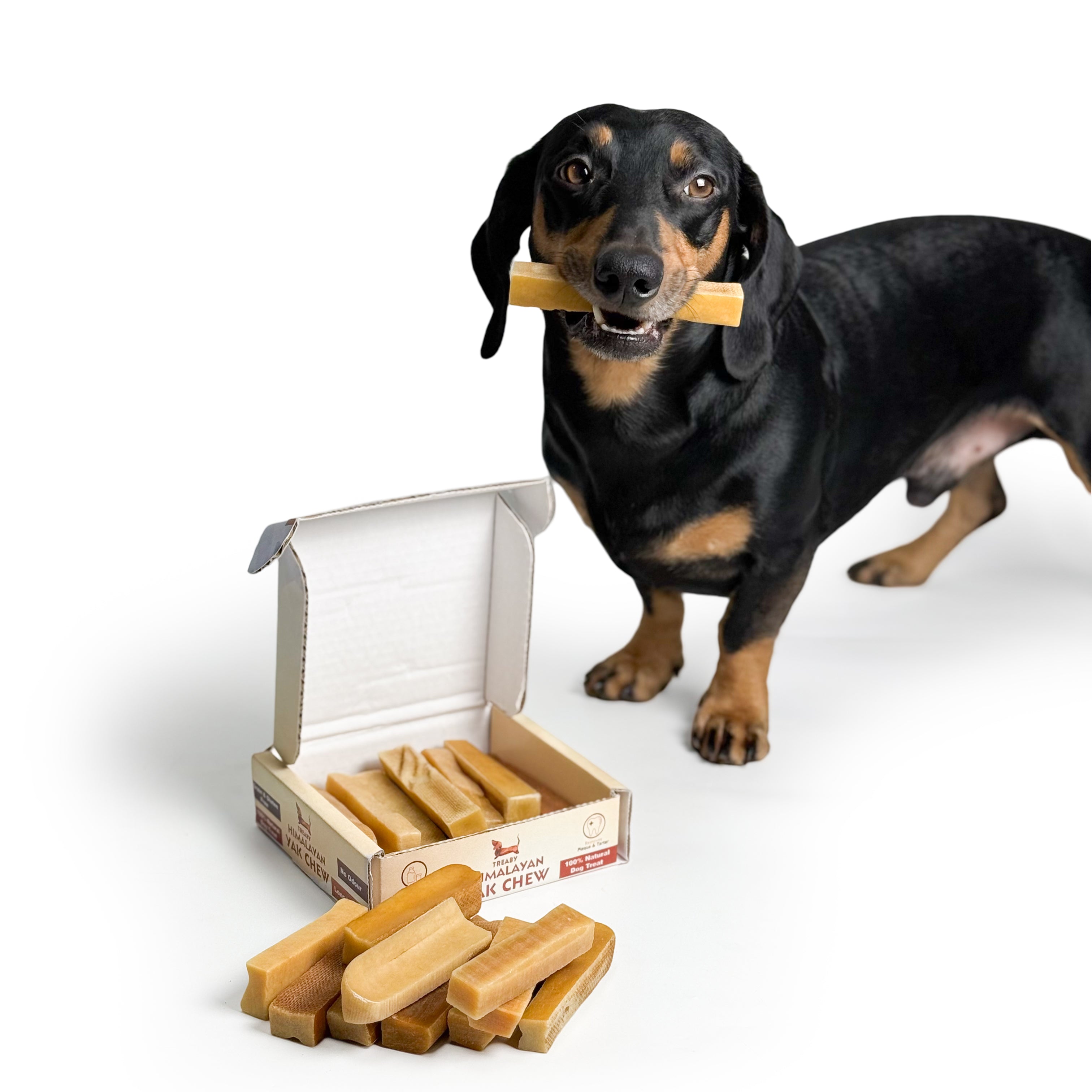 Healthiest dog chews store
